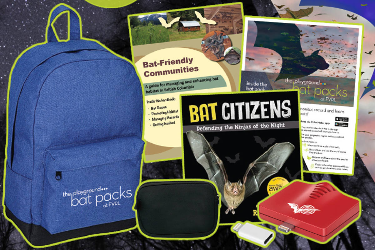 Bat Packs at Fraser Valley libraries come with echometer to track bats ...