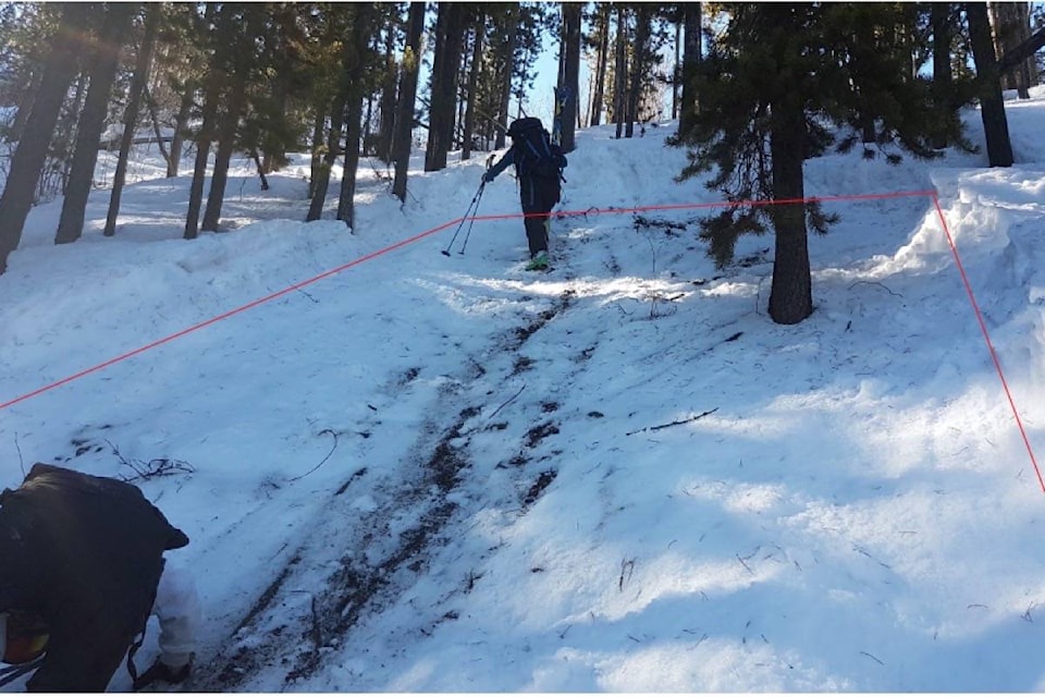Skier Triggers Avalanche Outside Boundaries Near Kimberley Alpine
