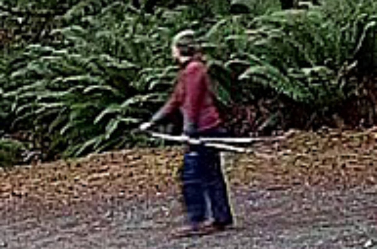 Sooke Rcmp Taking Over Search For Missing Woman Who Never Made Victoria