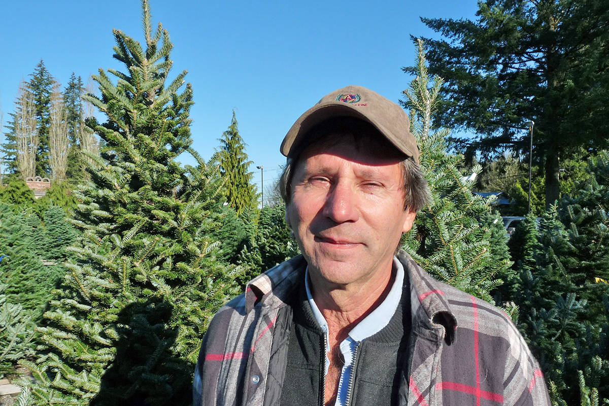 VIDEO: Christmas tree bandits strike Langley farm - Langley Advance Times