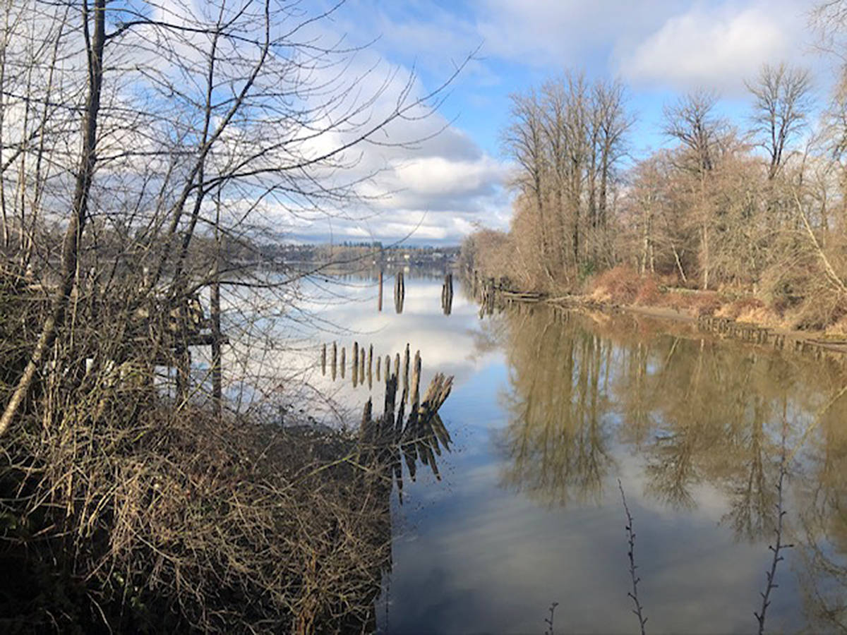 SHARE: Kanaka Creek boasts beautiful scenery – year round - Maple Ridge-Pitt Meadows News