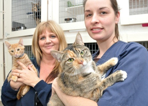 Quarantine lifted at SPCA shelter - Nanaimo News Bulletin Quarantine lifted at SPCA shelter - Nanaimo News Bulletin