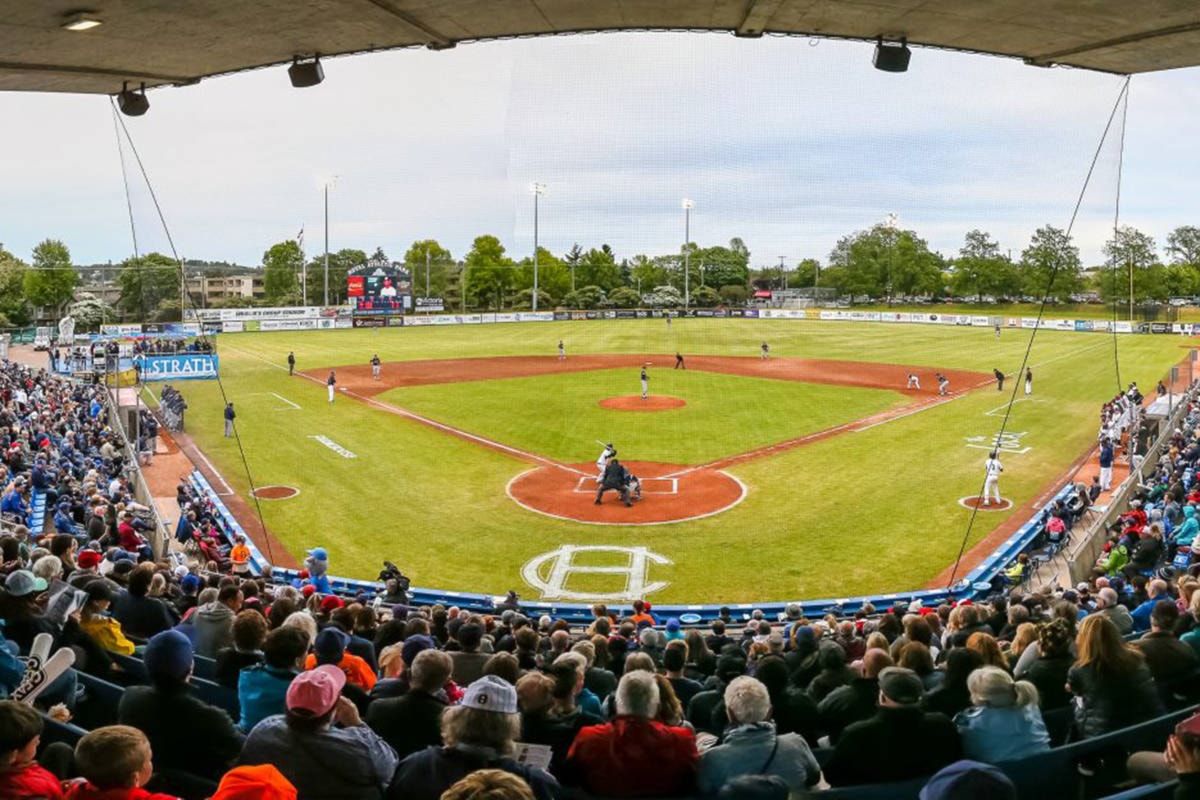 Victoria HarbourCats launch first-ever online hot stove - Oak Bay News Victoria HarbourCats launch first-ever online hot stove - Oak Bay News