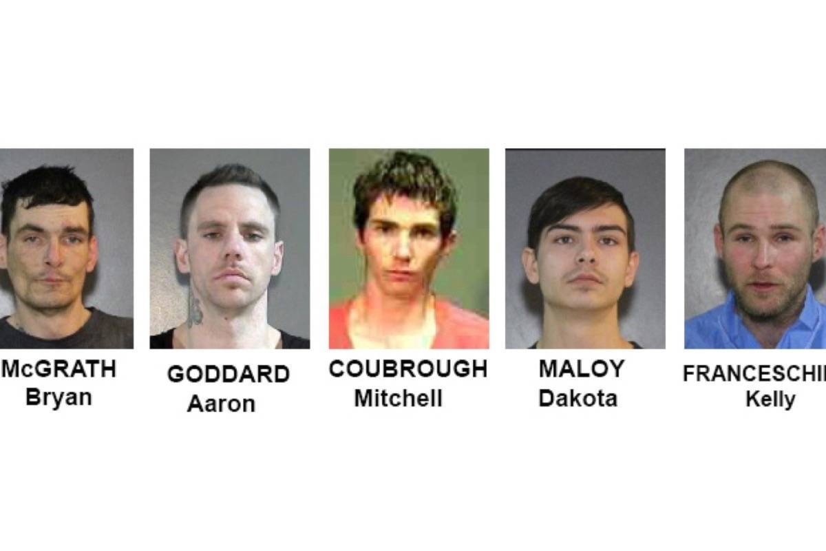 Update Surrey Rcmp Catch Two Of Five Wanted Car Thieves Peace Arch News 7170