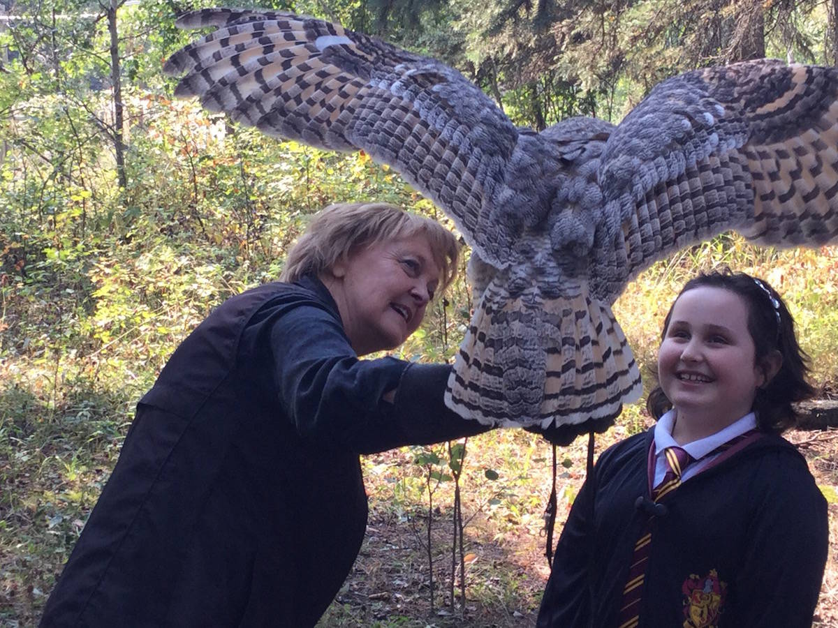 Watch: Otis the owl makes a dream come true - Red Deer Advocate