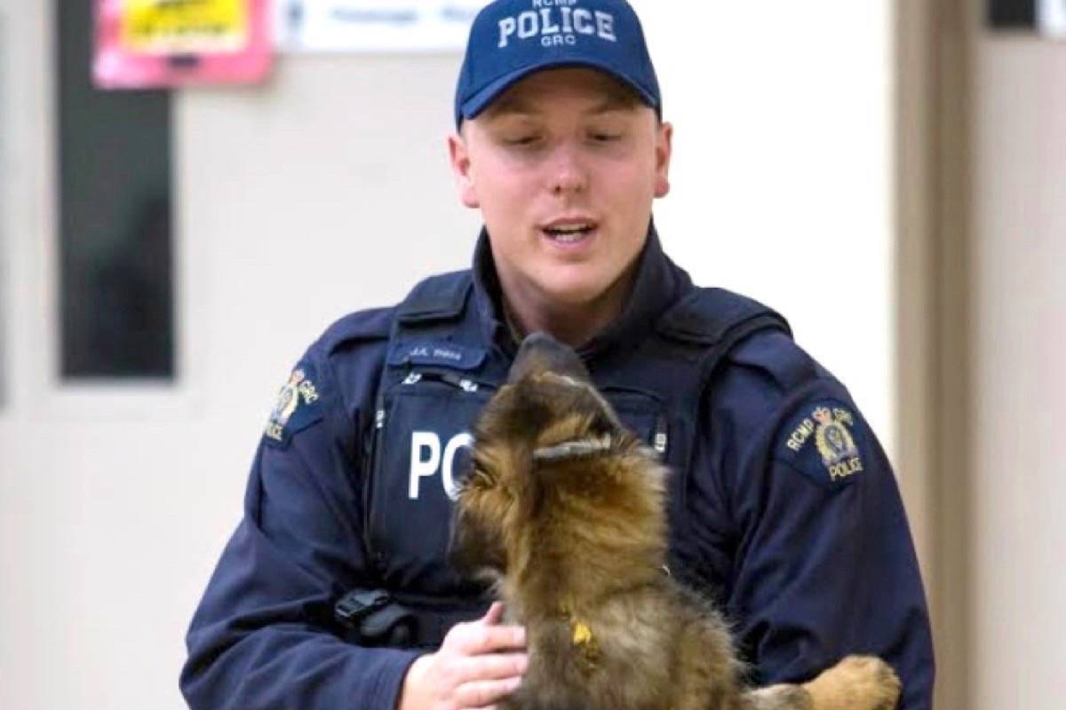 Updated Red Deer Rcmp Officer Denies He Asked Prisoner To Expose Her Breasts Red Deer Advocate 2117