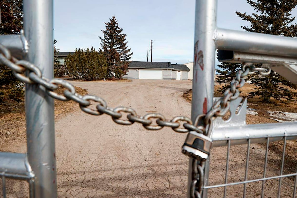 Bail Hearing To Continue For Alberta Man Accused Of Sexually Assaulting