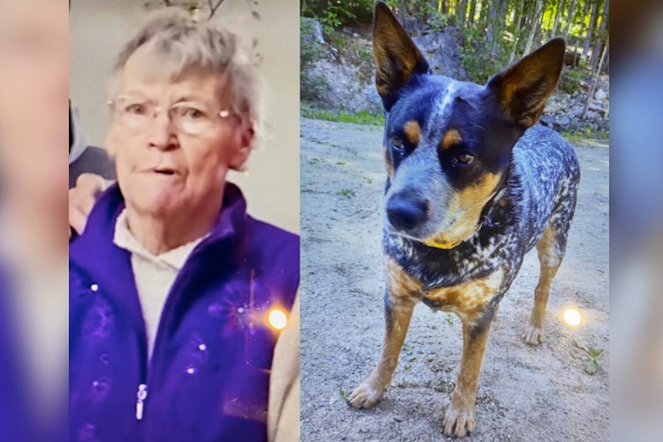 Update Missing North Okanagan Senior Found Safe Vernon Morning Star