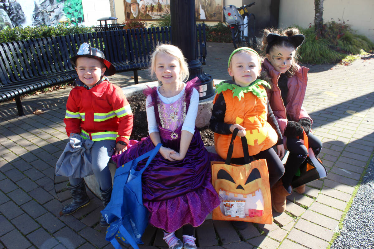 Cowichan Fall Fest Oct. 26 at Waterwheel Park - Chemainus Valley Courier
