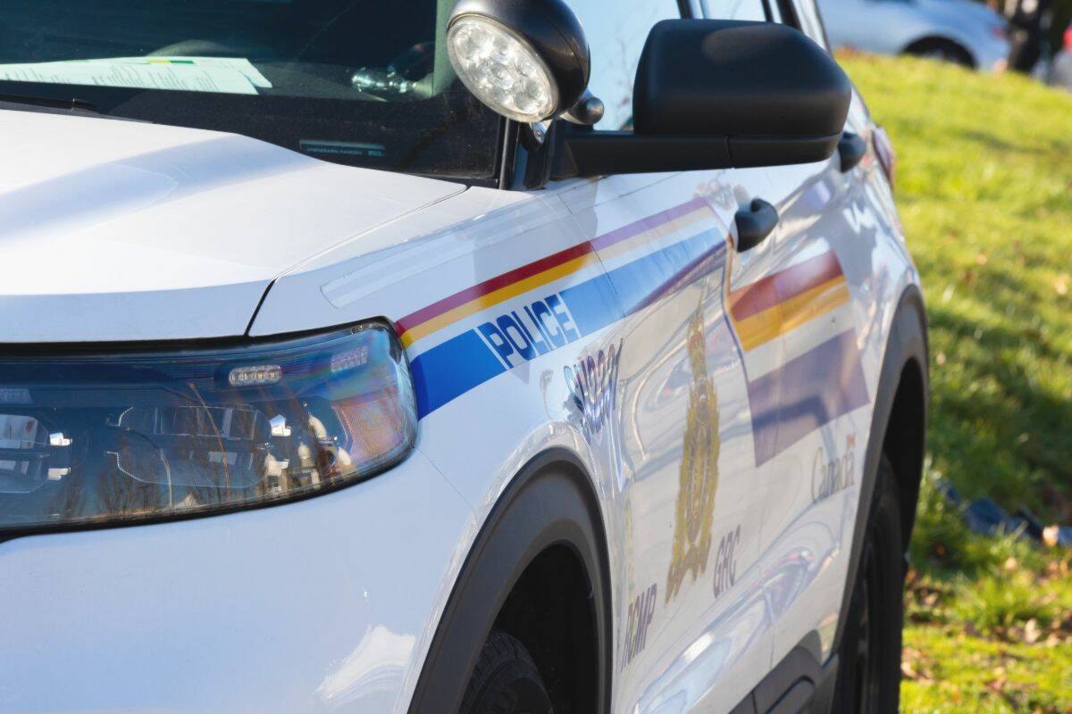 Kelowna Rcmp Investigate Stranger Sexual Assault Vernon Morning Star 0957