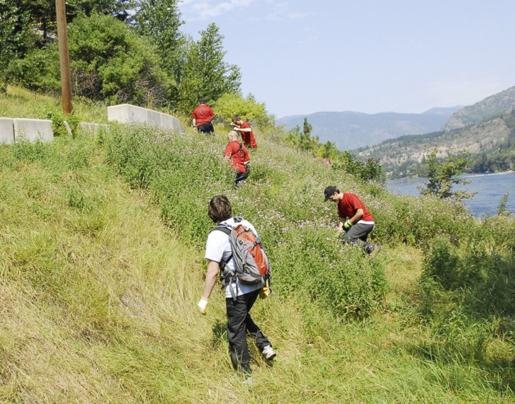 Trail crews scour hillside for clues on missing Nelson girl - Trail Times Trail crews scour hillside for clues on missing Nelson girl - Trail Times