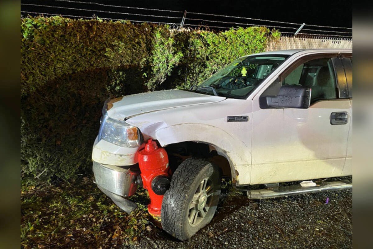 Suspect Found Hiding In Bush After Stolen Truck Crashes Into Langford